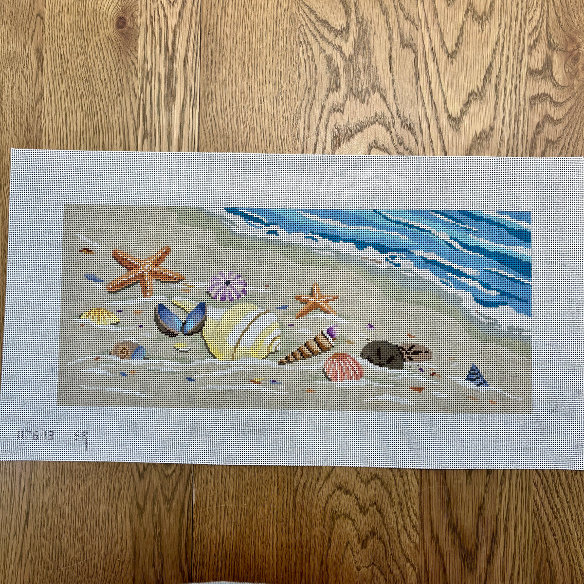 Seashells 19 x 8 - 13 mesh – Susan Roberts Needlepoint